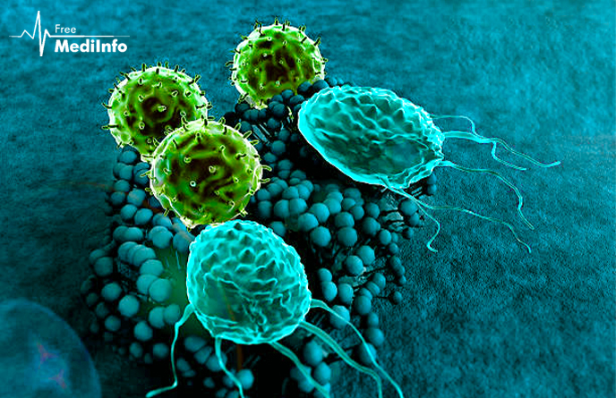 Spores - The Reproductive Units of Microorganisms FreeMediInfo